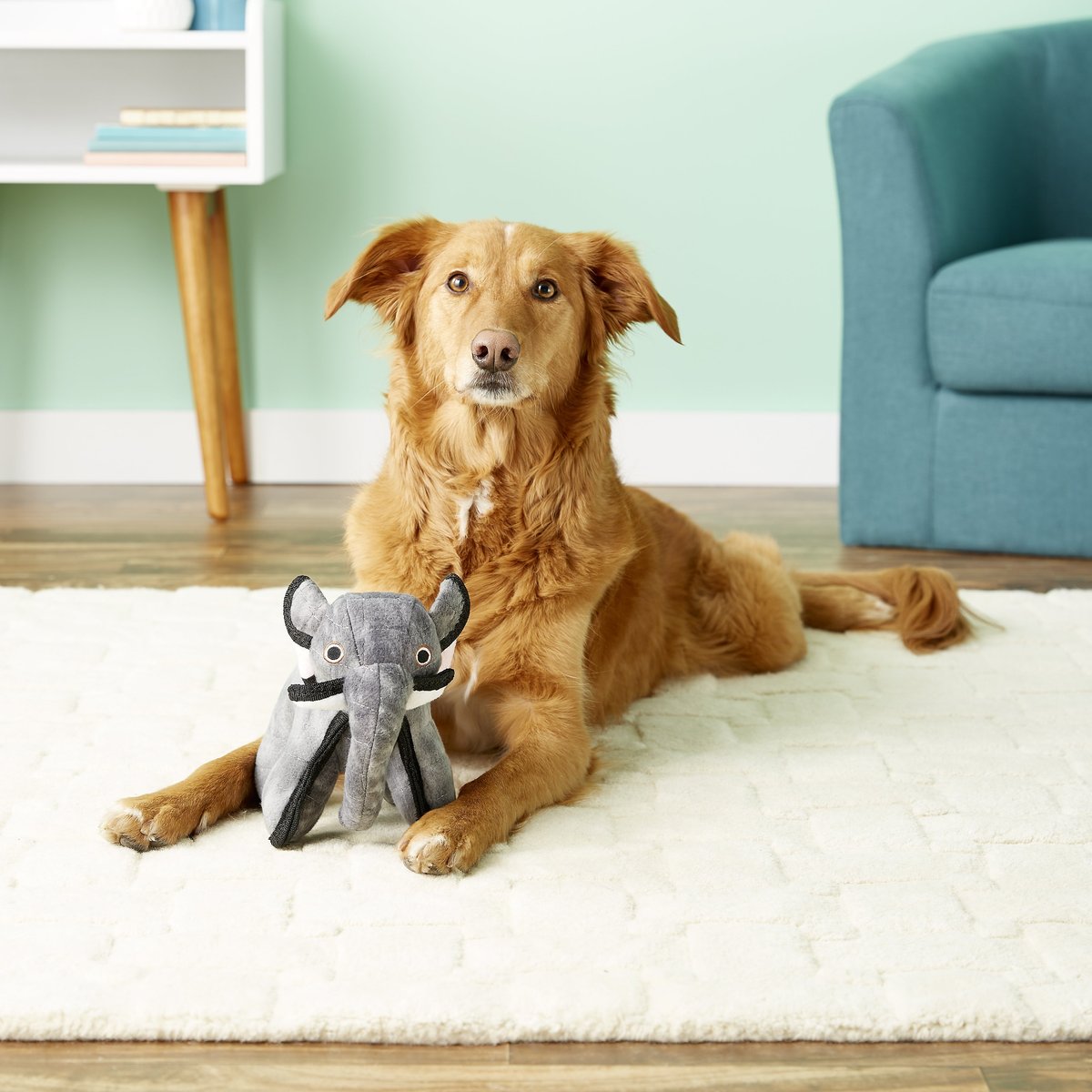 TUFFY'S Emery Elephant Plush Dog Toy, Jr - Chewy.com