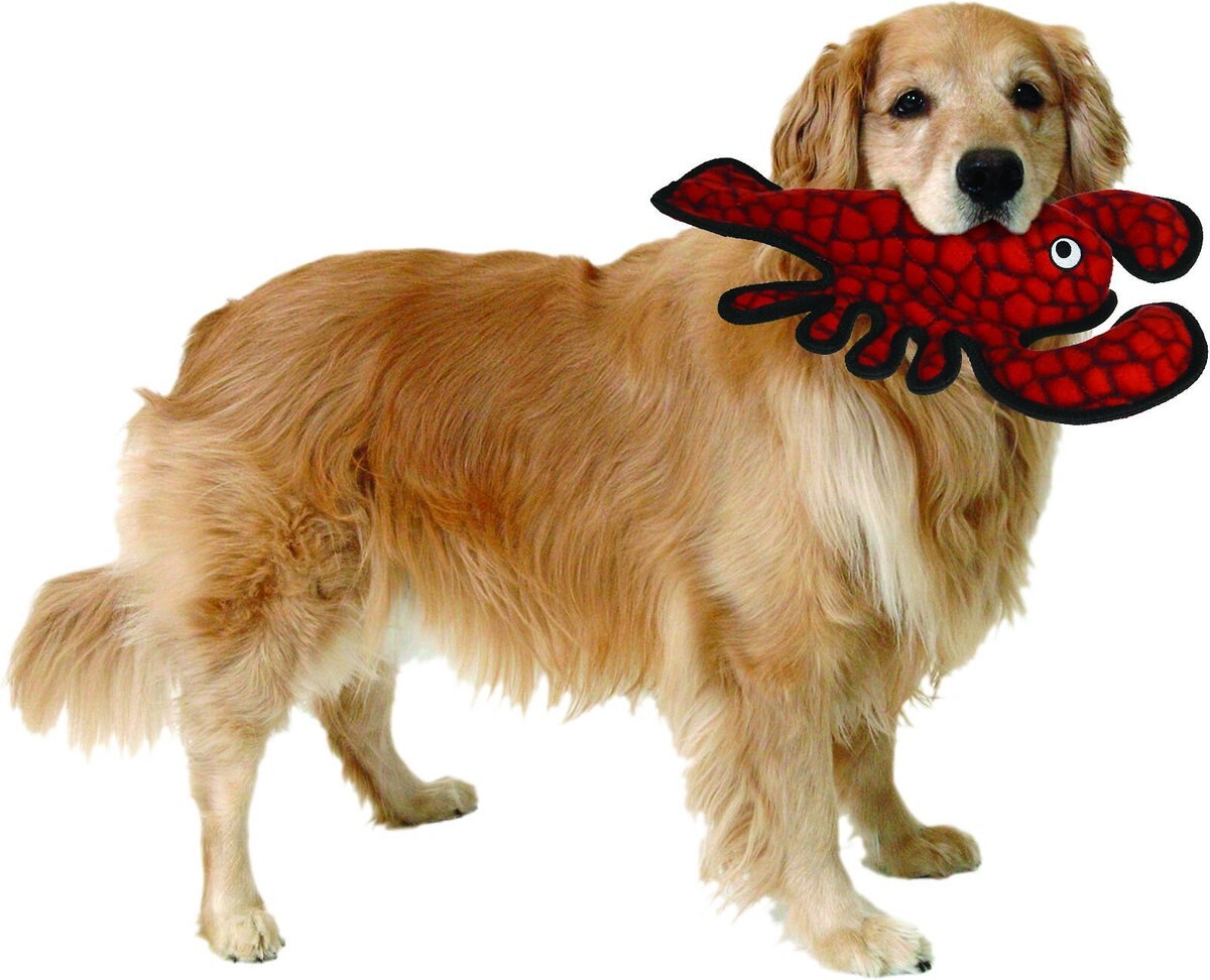 TUFFY'S Ocean Creatures Larry Lobster Squeaky Plush Dog Toy - Chewy.com