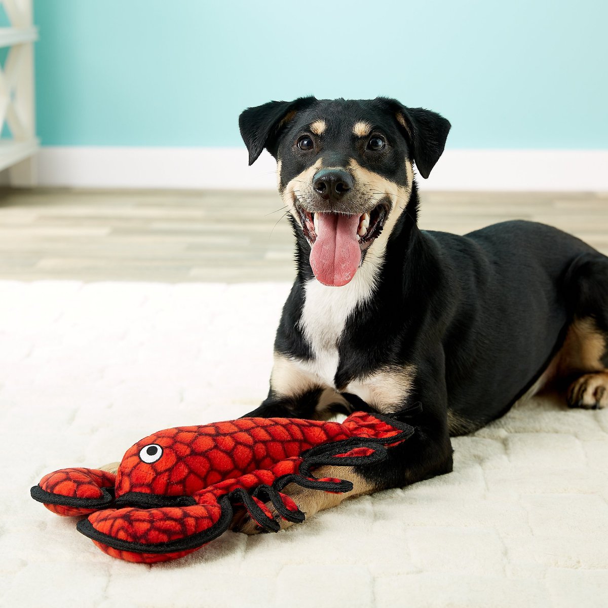 TUFFY'S Ocean Creatures Larry Lobster Squeaky Plush Dog Toy - Chewy.com