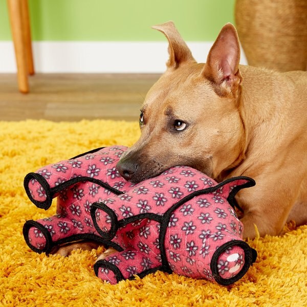 TUFFY'S Polly Pig Plush Dog Toy - Chewy.com