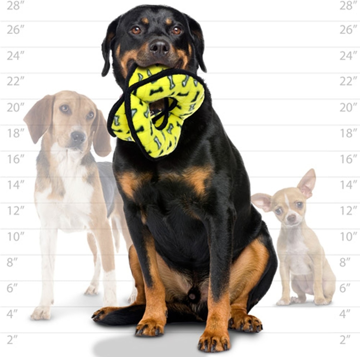 TUFFY'S Ultimate 4-Way Ring Squeaky Plush Dog Toy, Yellow Bones - Chewy.com
