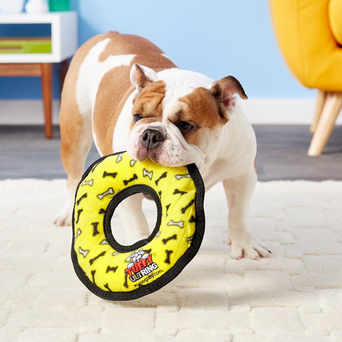 TUFFY'S Ultimate Ring Squeaky Plush Dog Toy, Yellow Bones - Chewy.com