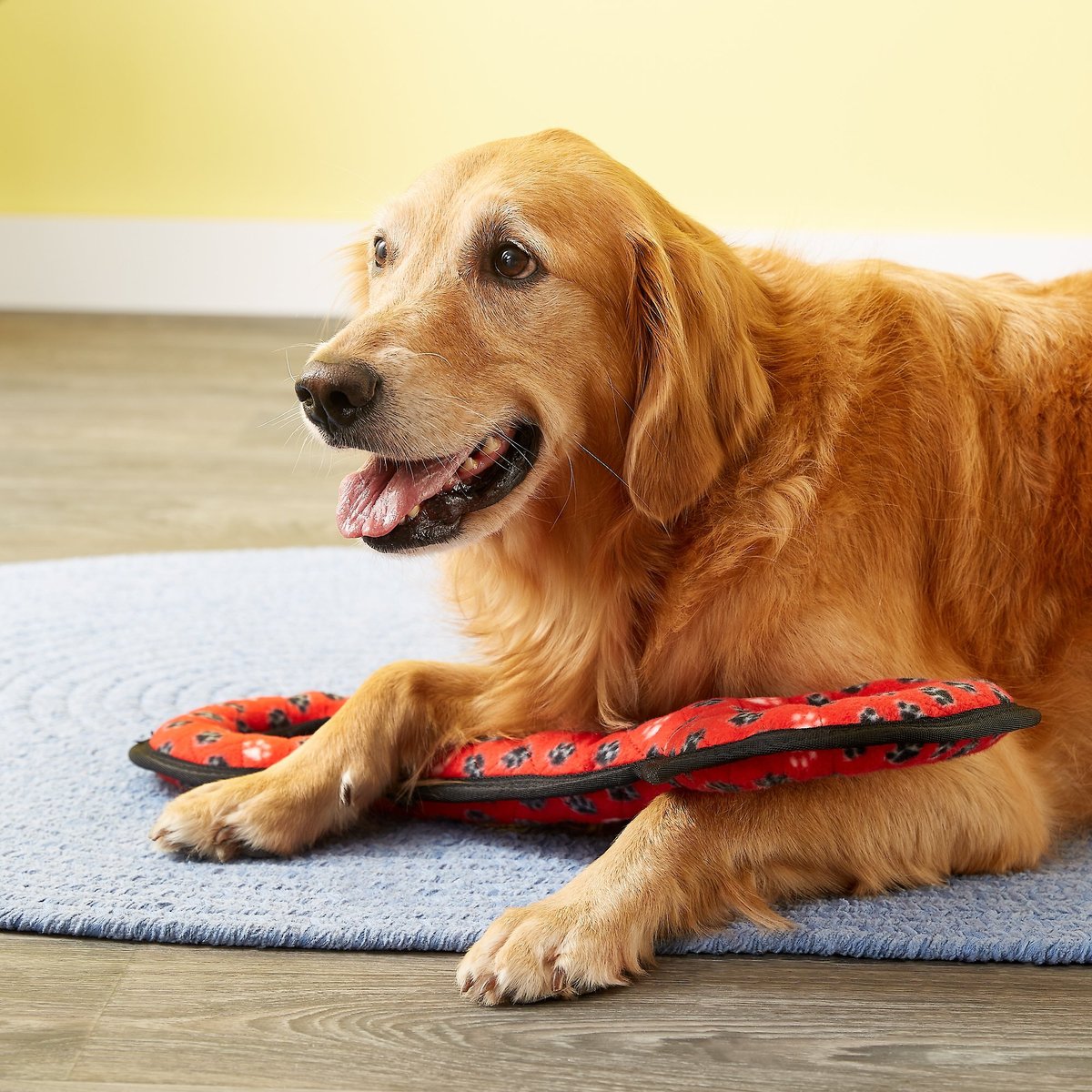 TUFFY'S Ultimate Tug-O-War Squeaky Plush Dog Toy, Red Paws - Chewy.com