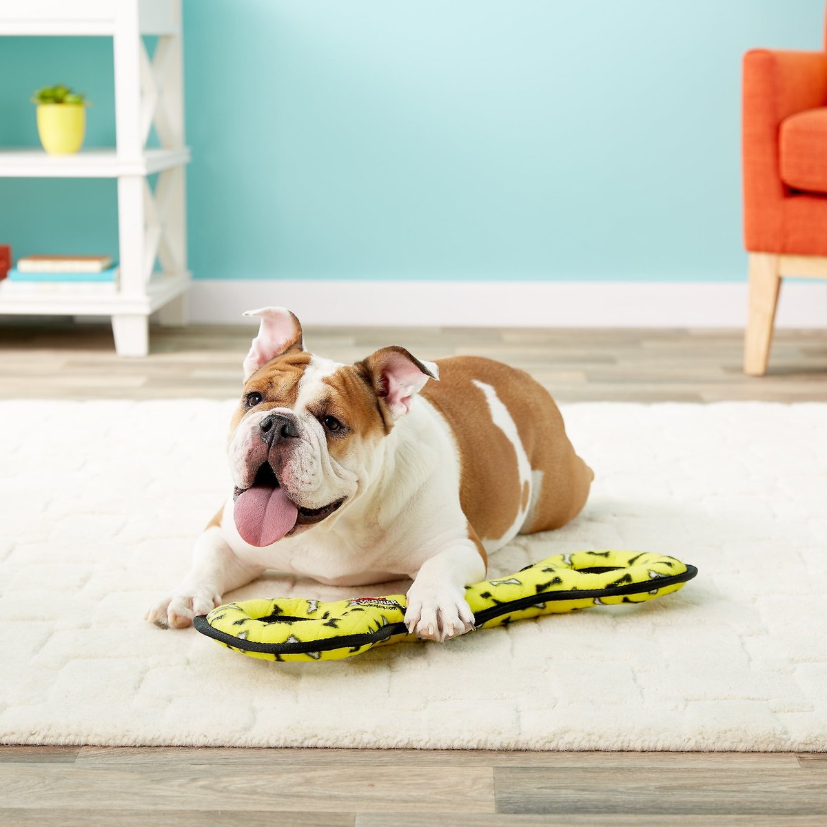 TUFFY'S Ultimate Tug-O-War Squeaky Plush Dog Toy, Yellow Bones - Chewy.com