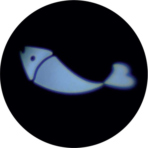 TURBO Fish Projection LED Pointer Cat Toy - Chewy.com