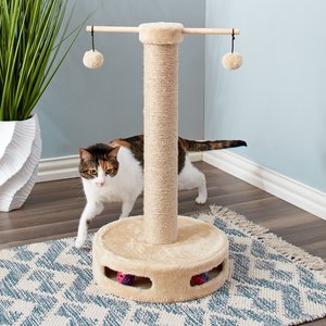 TWO BY TWO Coconut 30-in Jute Scratching Post Cat Scratcher - Chewy.com