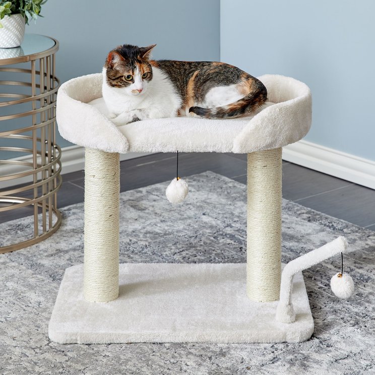 Small Cat Trees & Condos: 30" Tall & Below (Free Shipping) | Chewy