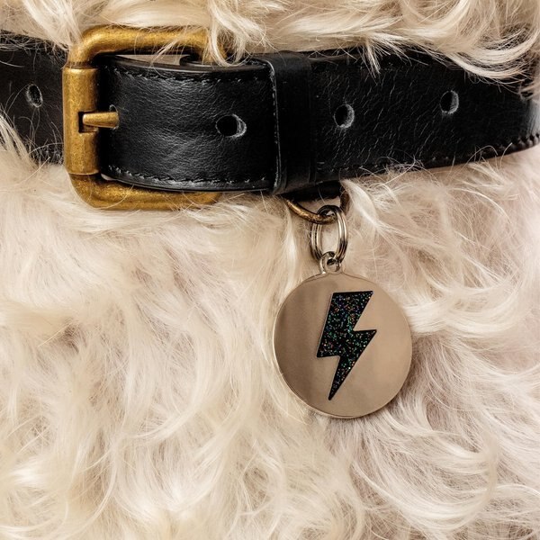 TWO TAILS PET COMPANY Lightning Bolt Brass Non-Personalized Dog & Cat ...