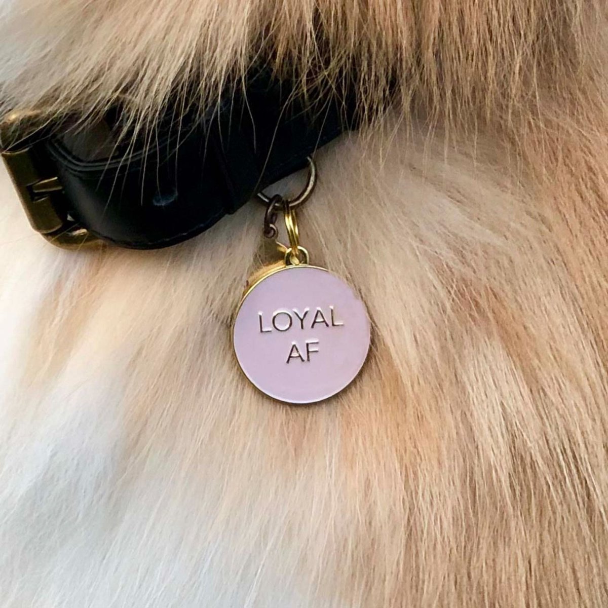 TWO TAILS PET COMPANY Loyal AF Brass Non-Personalized Dog ID Tag, Pink ...
