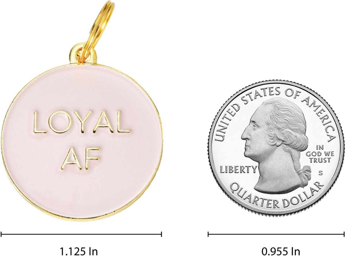 TWO TAILS PET COMPANY Loyal AF Brass Non-Personalized Dog ID Tag, Pink ...