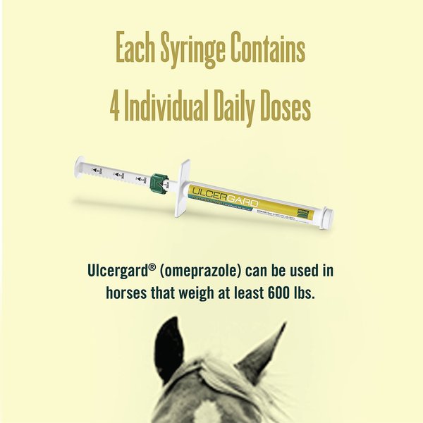 ULCERGARD Omeprazole Paste Horse Treatment, .22-oz syringe, 60 count ...