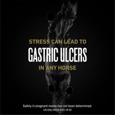 ULCERGARD Omeprazole Paste Horse Treatment, 40 count - Chewy.com