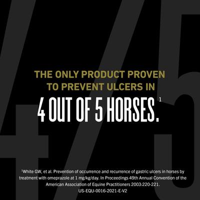 ULCERGARD Omeprazole Paste Horse Treatment, 40 count - Chewy.com