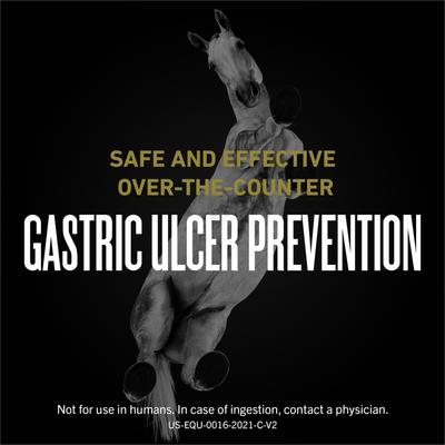 ULCERGARD Omeprazole Paste Horse Treatment, 40 count - Chewy.com