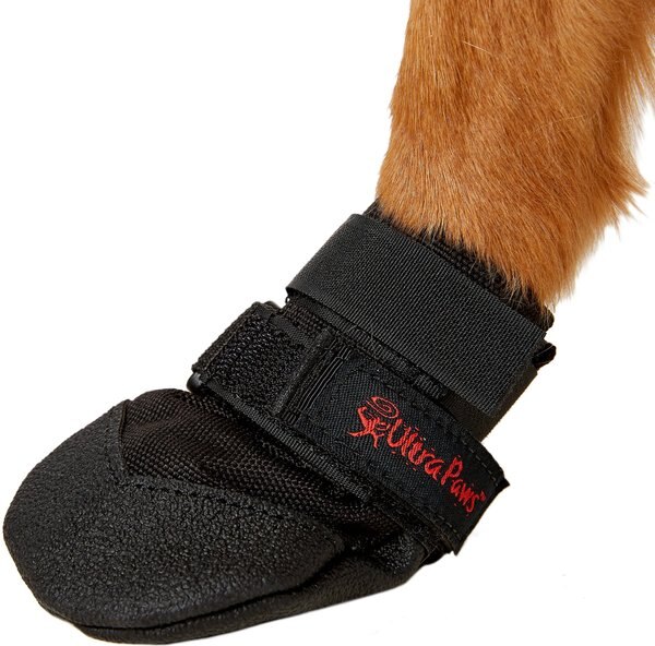 Out of Stock - ULTRA PAWS Durable Dog Boots, 4 count, Small - Chewy.com