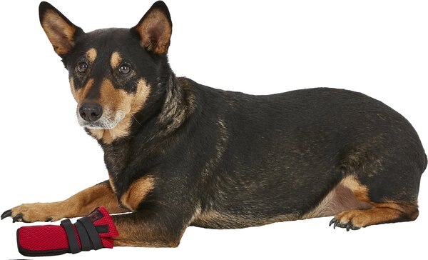 Ultra Paws Wound Dog Boot | Chewy (Free Shipping)