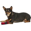 Ultra Paws Wound Dog Boot | Chewy (Free Shipping)