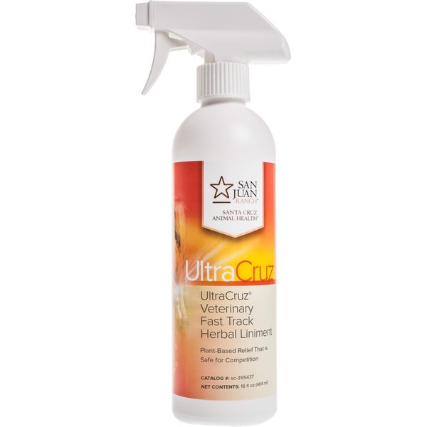 SORE NO MORE Performance Ultra Horse Liniment, 16-fl oz bottle - Chewy.com