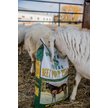 UNBEETABLE FEEDS Beet Pulp Low Sugar Pellets Horse Feed, 50-lb bag ...