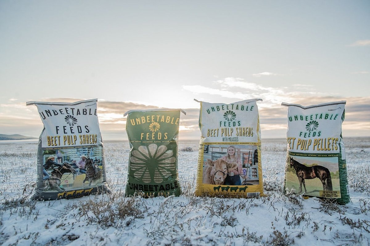 UNBEETABLE FEEDS Beet Pulp Low Sugar Shreds with Molasses Horse Feed ...