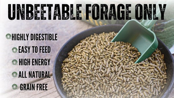 UNBEETABLE FEEDS Forage Only Horse Feed, 50-lb bag - Chewy.com