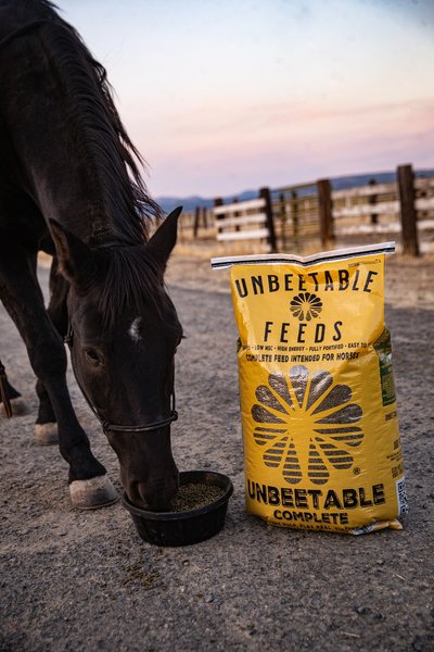 UNBEETABLE FEEDS Grain-Free Complete Horse Feed, 50-lb bag - Chewy.com