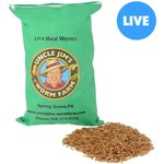 SYMTON Small Live Black Soldier Fly Larvae Lizard Food, 5,000 count ...