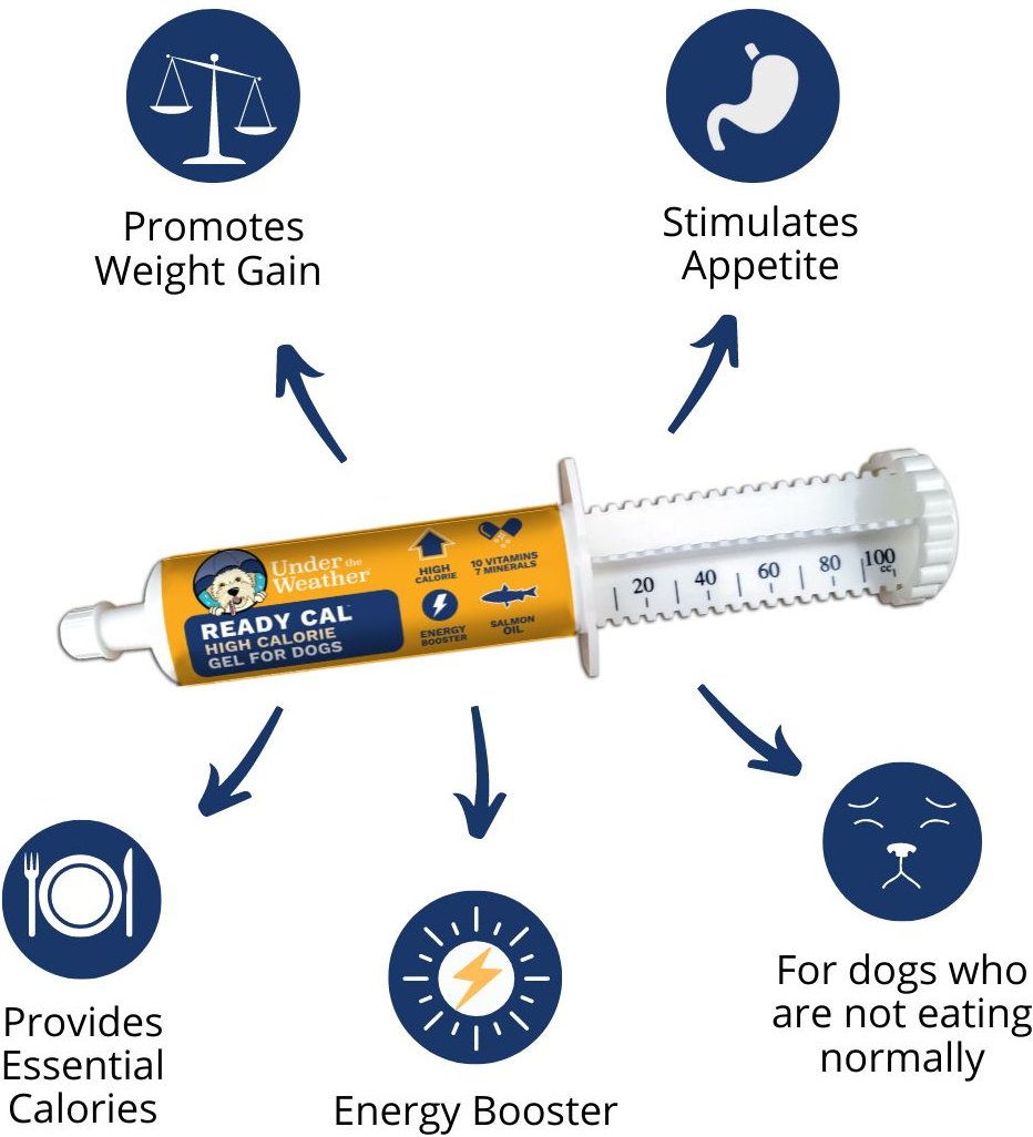 UNDER THE WEATHER Ready Cal High Calorie Food Nutritional Gel Dog ...