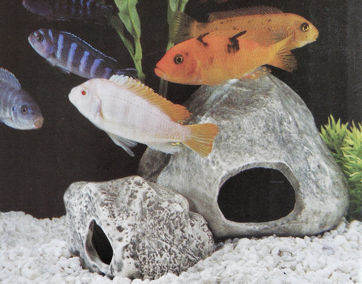 Out of Stock - UNDERWATER GALLERIES Fish Tank Hollow Ceramic Square ...