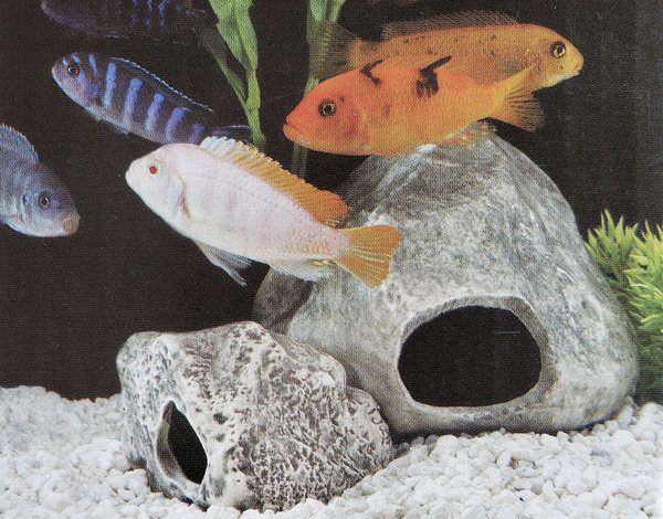 Out of Stock - UNDERWATER GALLERIES Fish Tank Hollow Ceramic Square ...