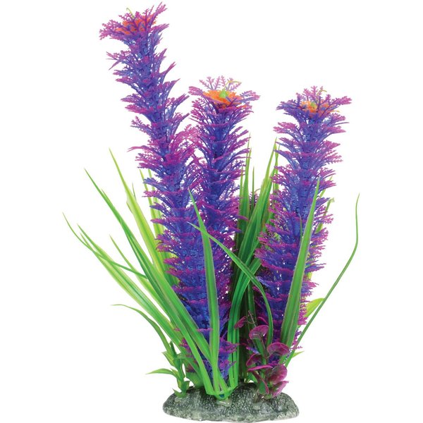 UNDERWATER TREASURES Ambulia Fish Plant - Chewy.com