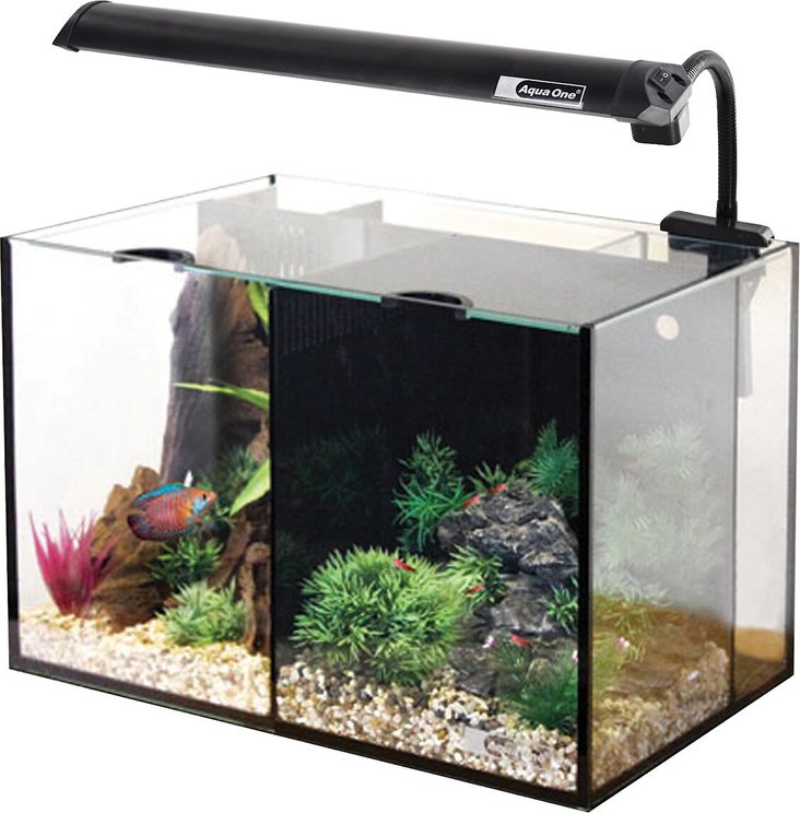 Saltwater Aquariums & Fish Tanks | Chewy