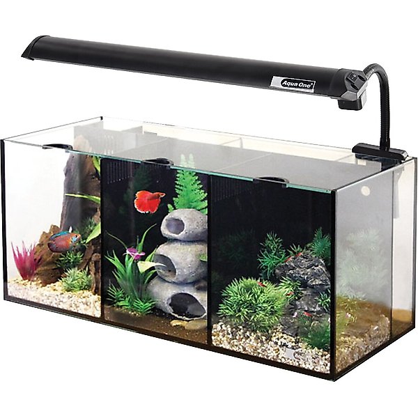 UNDERWATER TREASURES Aqua One Betta Trio Aquarium, 8.4-gal - Chewy.com