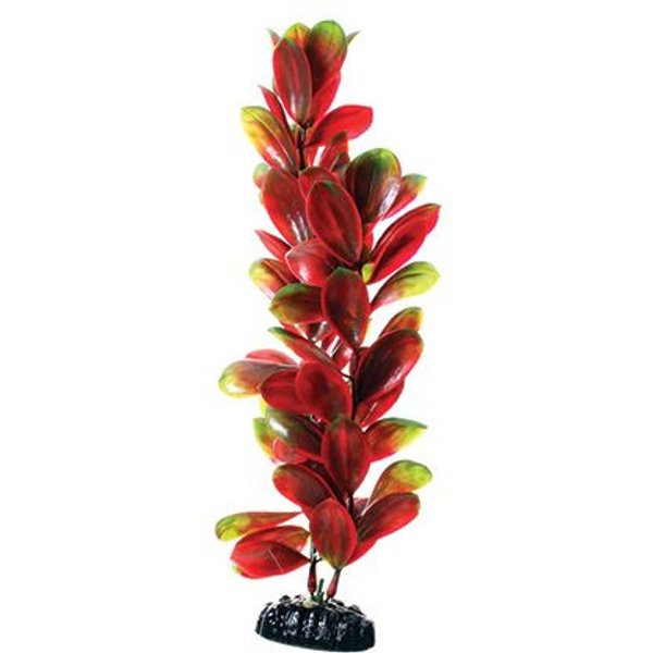 UNDERWATER TREASURES Heart Fern Fish Plant, 20-in - Chewy.com