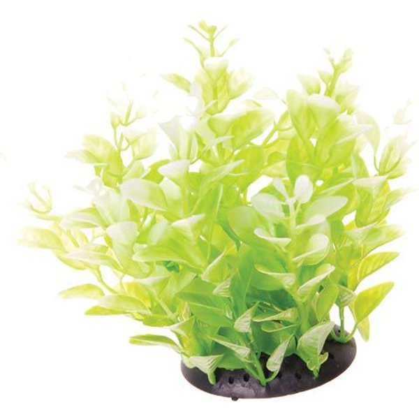 UNDERWATER TREASURES Conifer Fish Plant - Chewy.com