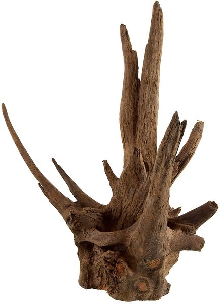 UNDERWATER TREASURES Eucalyptus Root Fish Wood, Nano - Chewy.com
