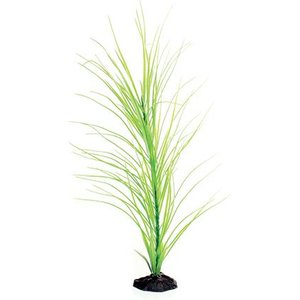 UNDERWATER TREASURES Sunfire Passion Fish Plant, 12-in - Chewy.com