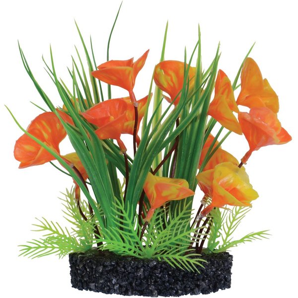 UNDERWATER TREASURES Luna Lily Bush Fish Plant, 7-in - Chewy.com