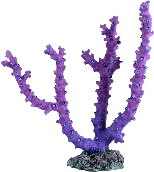UNDERWATER TREASURES Octo Coral Fish Ornament, Small - Chewy.com