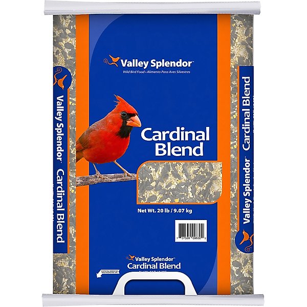 AUDUBON PARK Northeast Blend Wild Bird Food, 20-lb bag - Chewy.com