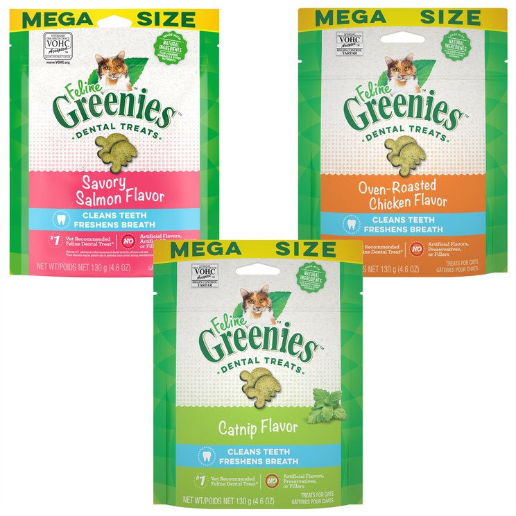 GREENIES DENTAL CHEWS FOR CATS (Free Shipping) | Chewy