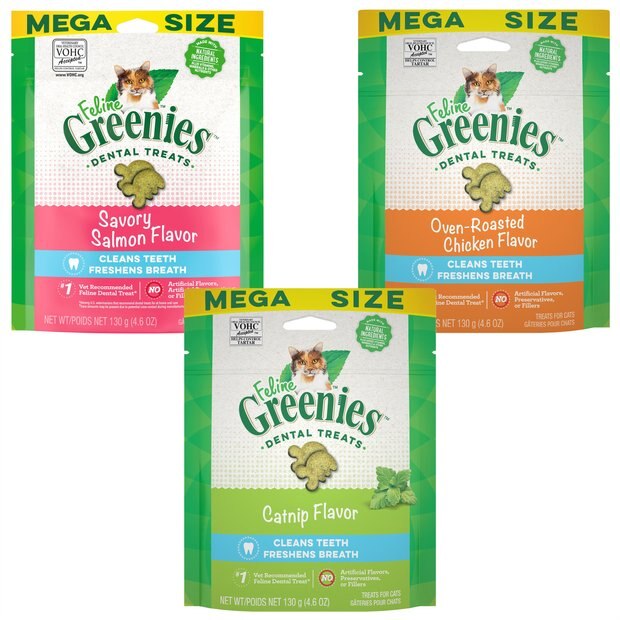 GREENIES DENTAL CHEWS FOR CATS (Free Shipping) | Chewy