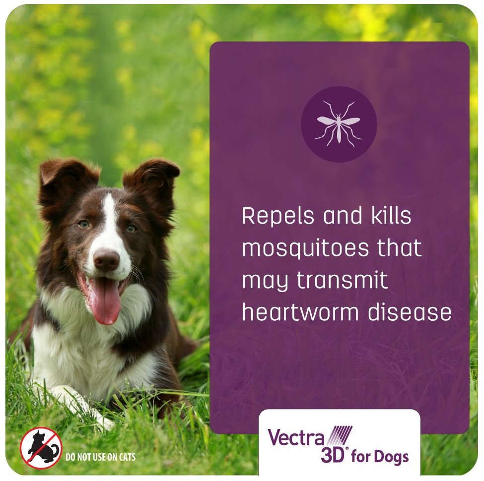 VECTRA 3D Flea & Tick Spot Treatment for Dogs, 11-20 lbs, 3 Doses (3 ...