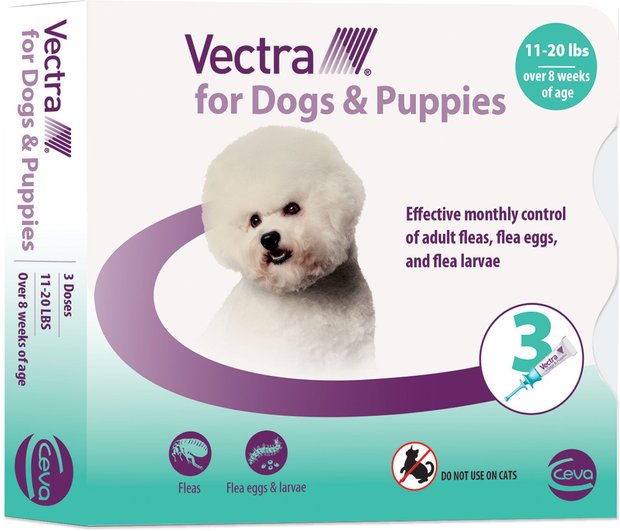 Vectra - Free shipping | Chewy