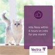 VECTRA Flea Spot Treatment for Cats & Kittens, 2-9 lbs, (Tan Box), 3 ...