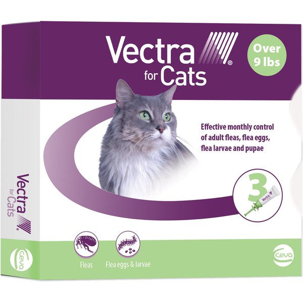 VECTRA Flea Spot Treatment for Cats & Kittens, over 9 lbs, (Green Box ...