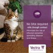 VECTRA Flea Spot Treatment for Cats & Kittens, over 9 lbs, (Green Box ...