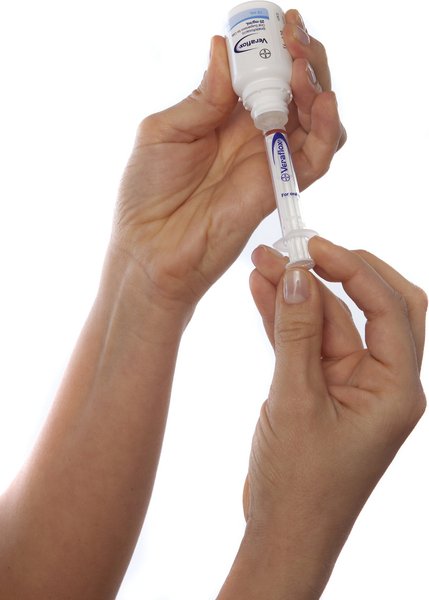 VERAFLOX (pradofloxacin) Oral Suspension for Cats, 25-mg/mL, 15-mL ...
