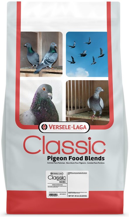 Pigeon Supplies & Accessories | Chewy