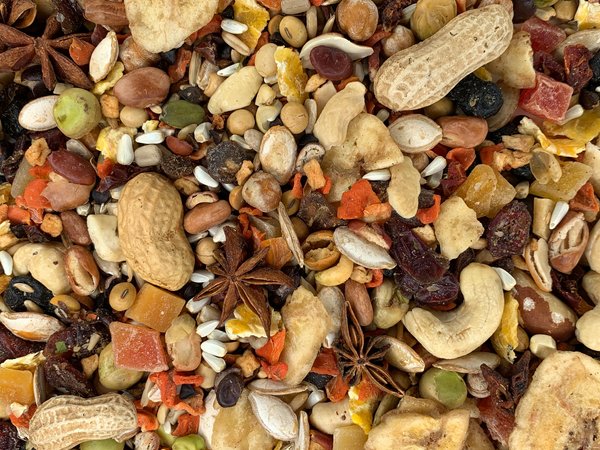 VERSELE-LAGA Goldenfeast Indonesian Blend Parrot & Macaw Bird Food, 3 ...